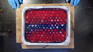 Cell Dye - Disc Golf Dyers Guild